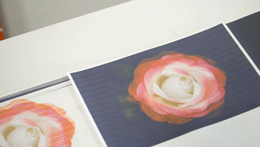 🤯 The 5 problems in sublimation that can happen to you