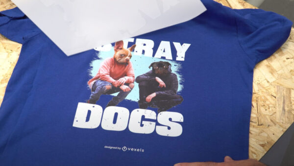 🤔 Impresión FTS: ¿La competencia del DTF?